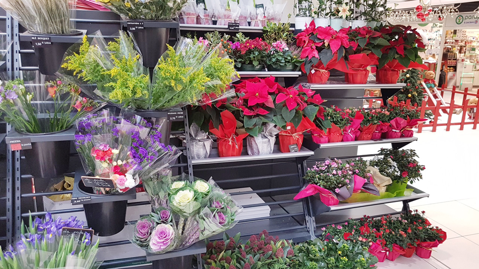 MOBILIER FLEURISTE - Valin